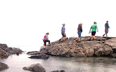 The Resilience of Limu | IndAquaculture