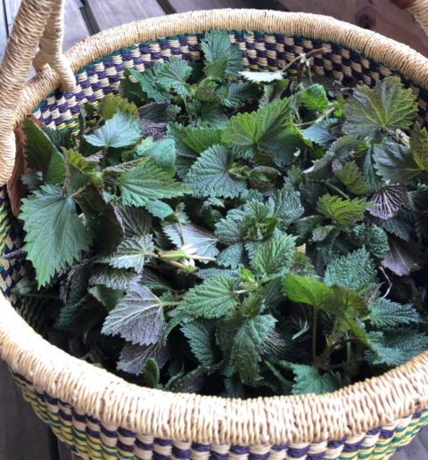 Introducing the Recipe Series: A celebration of coastal foods that ...